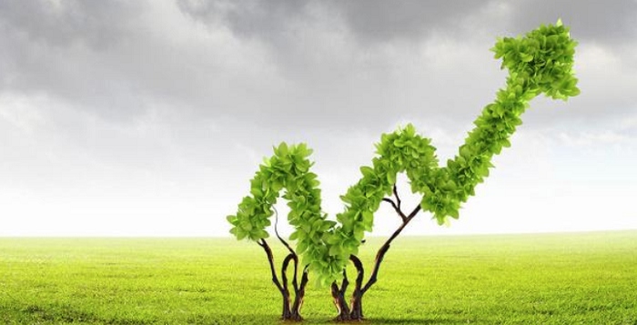 The key to building green growth in Vietnam